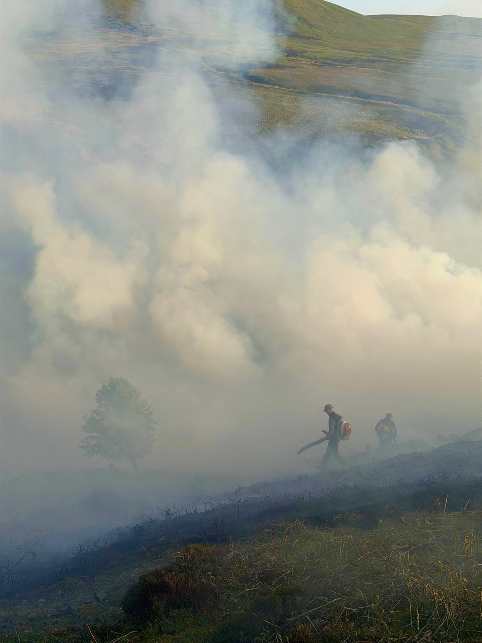 Gamekeepers praised as wildfires see wildlife scorched